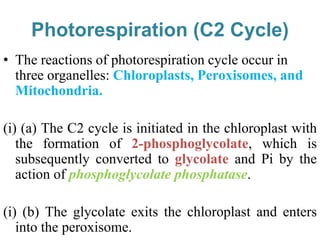 Photorespiration (C2 Pathway) in Plants. | PPTX
