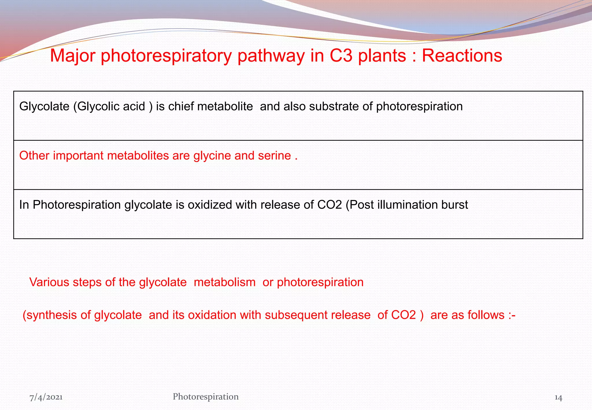 PHOTORESPIRATION(C2 cycle)/Glycolate Cycle/PCO Cycle | PPTX