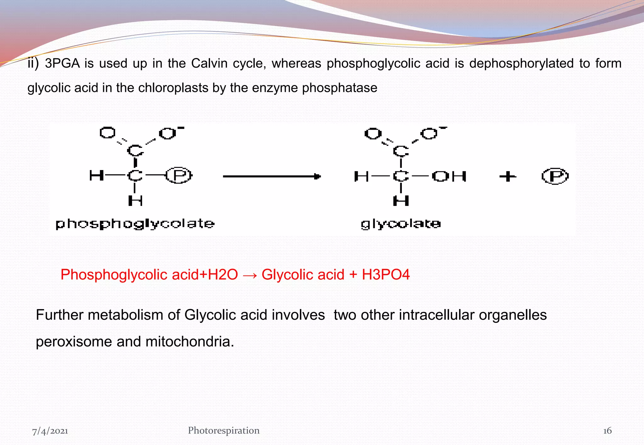 PHOTORESPIRATION(C2 cycle)/Glycolate Cycle/PCO Cycle | PPTX