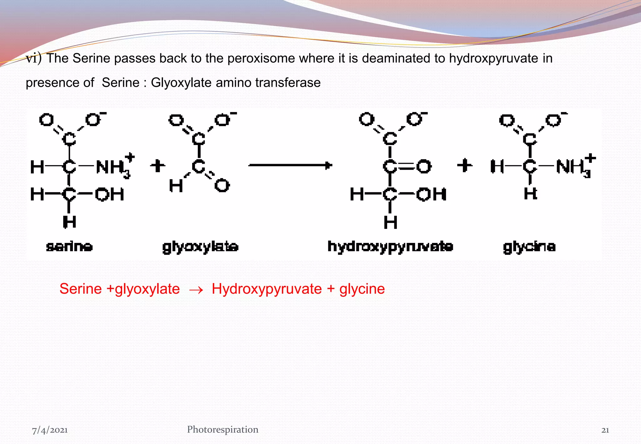 PHOTORESPIRATION(C2 cycle)/Glycolate Cycle/PCO Cycle | PPTX