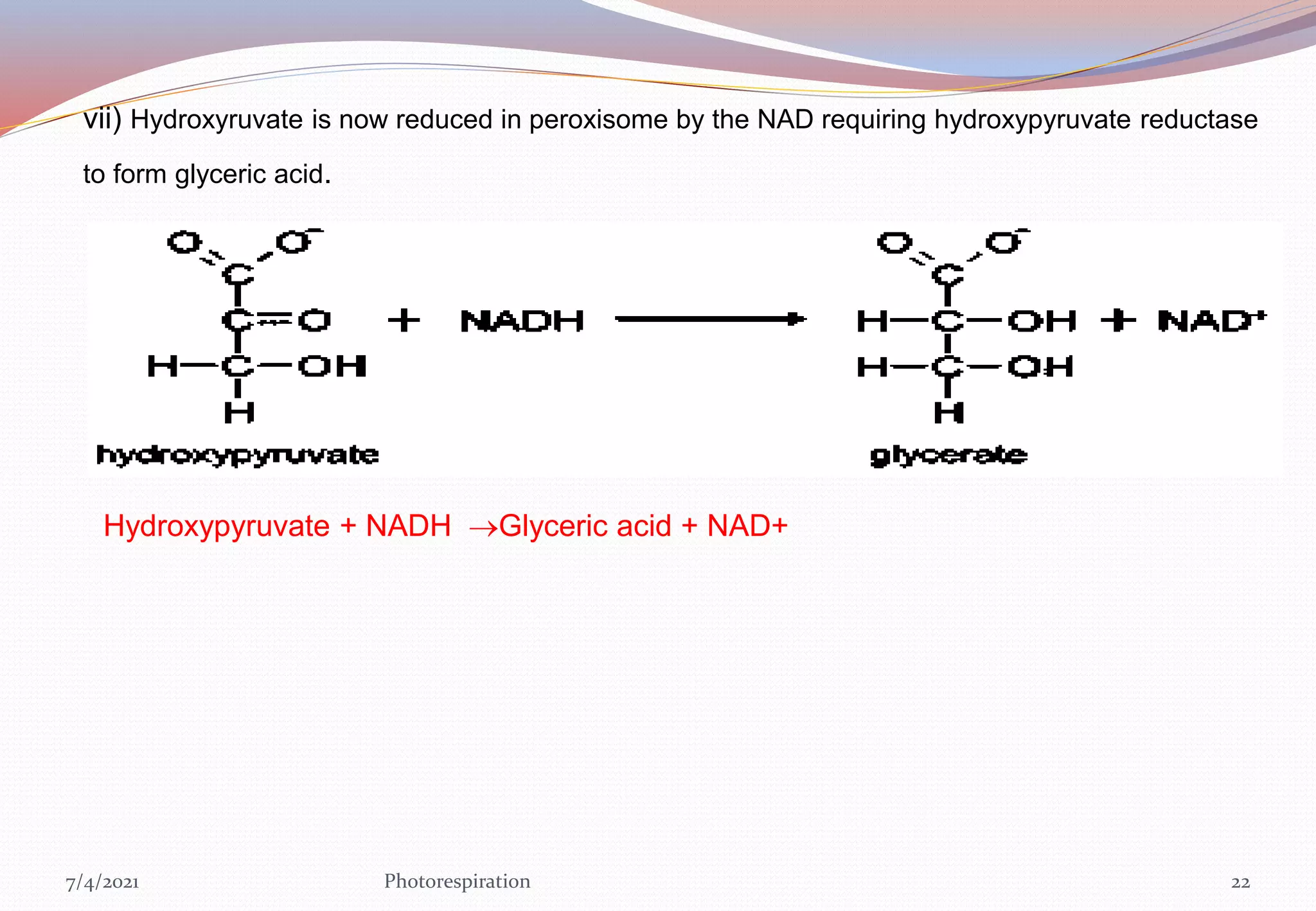 PHOTORESPIRATION(C2 cycle)/Glycolate Cycle/PCO Cycle | PPTX