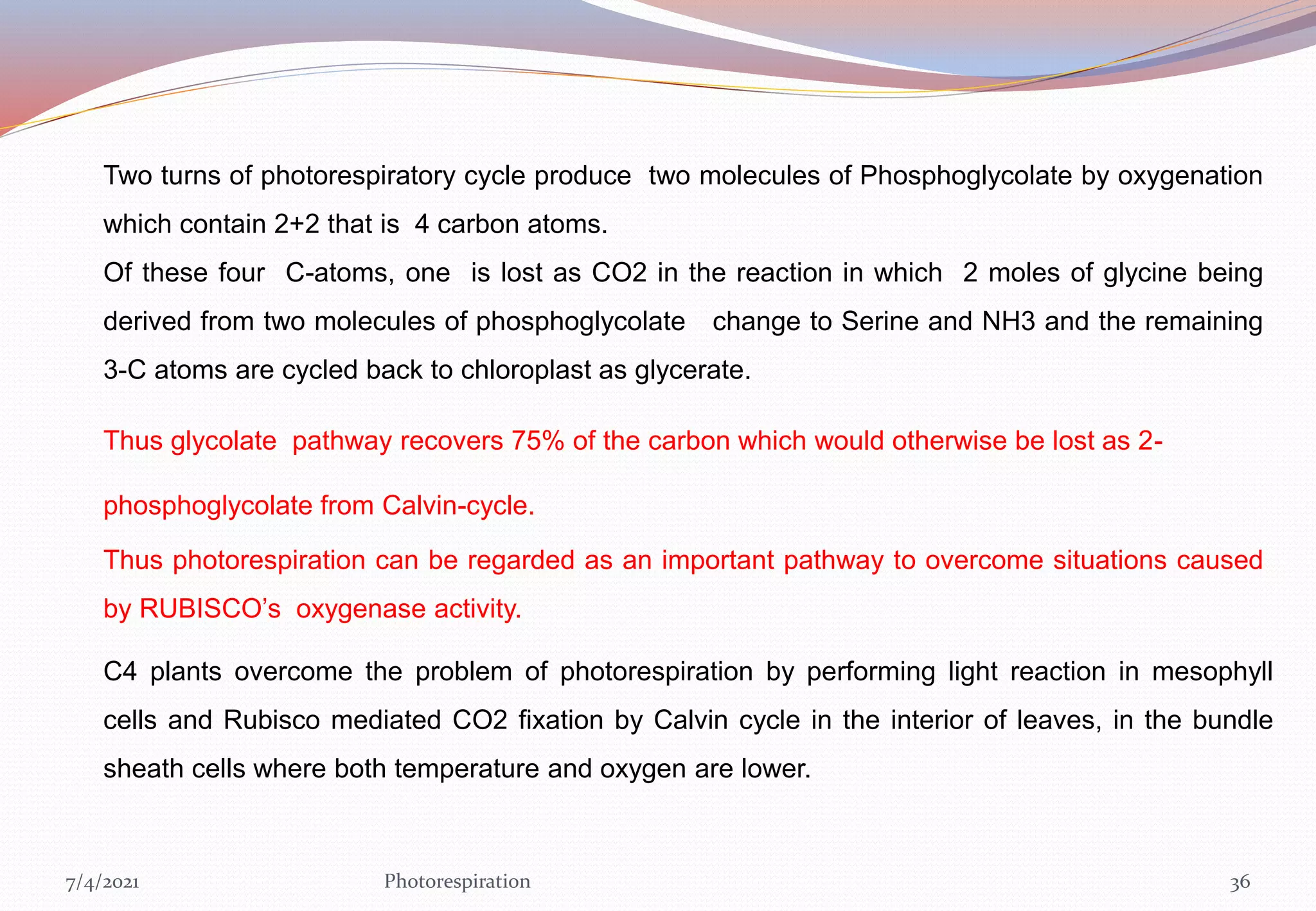 PHOTORESPIRATION(C2 cycle)/Glycolate Cycle/PCO Cycle | PPTX