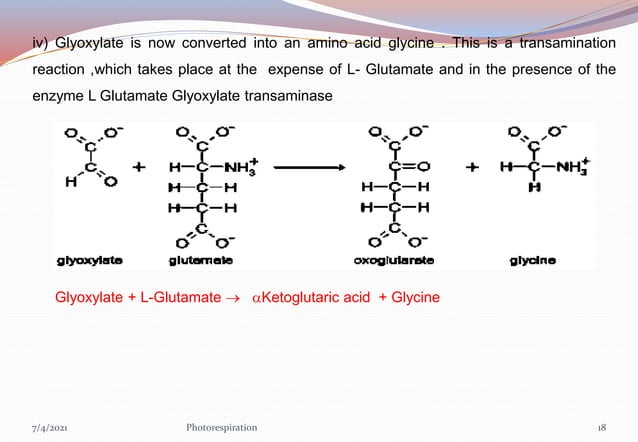 PHOTORESPIRATION(C2 cycle)/Glycolate Cycle/PCO Cycle | PPTX | Lung and ...
