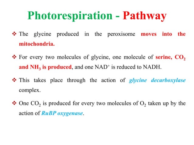 Photorespiration c2 cycle | PPTX