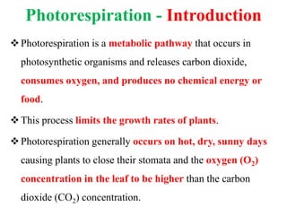 Photorespiration c2 cycle | PPTX