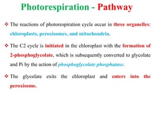 Photorespiration c2 cycle | PPTX
