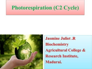 Photorespiration Or C2 Cycle