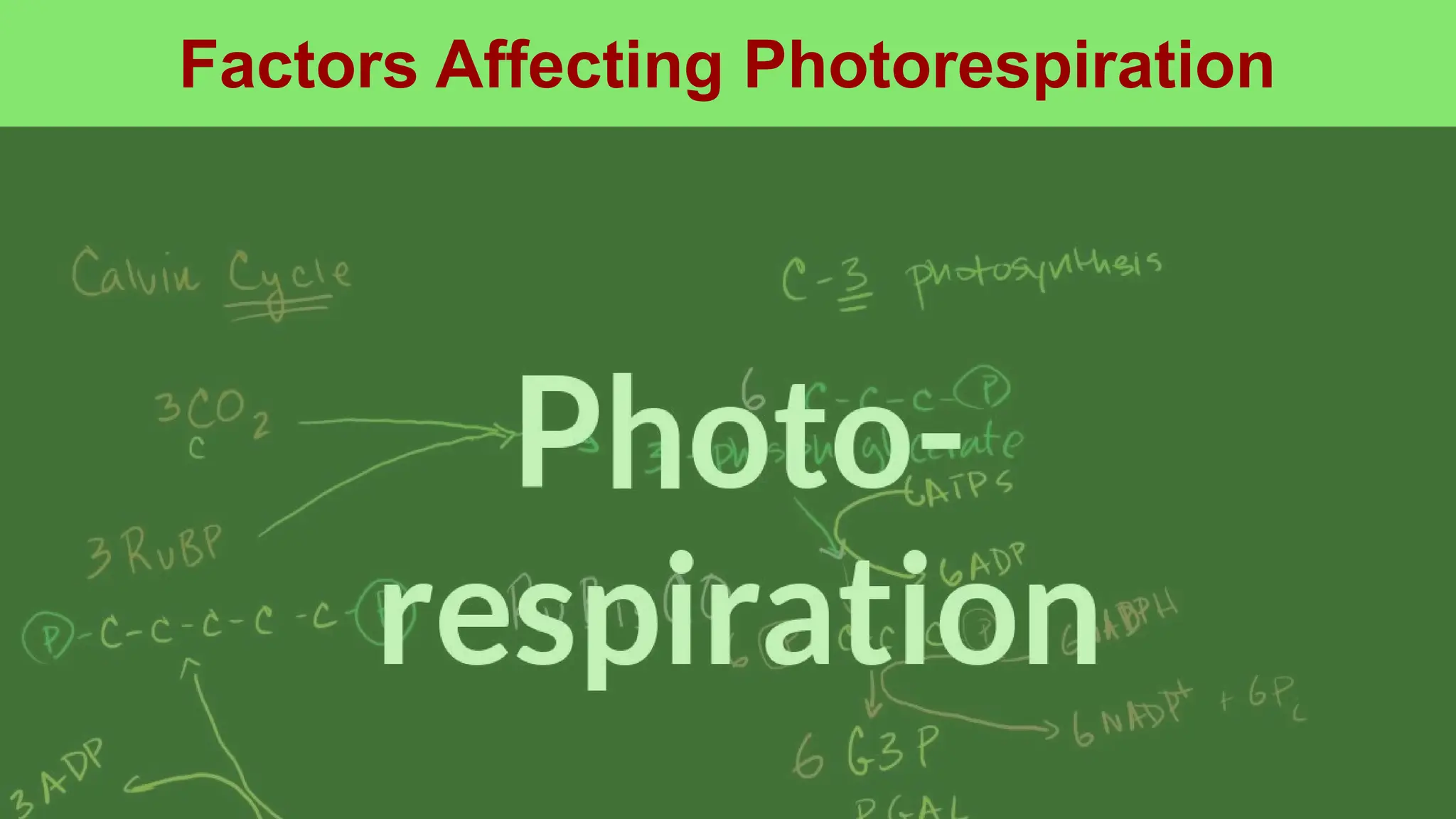 Factors affecting photorespiration and their importance | PPTX