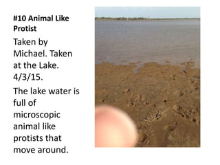 Photo scavenger hunt project | PPTX