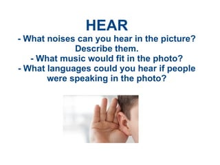 Photo senses activity | PDF