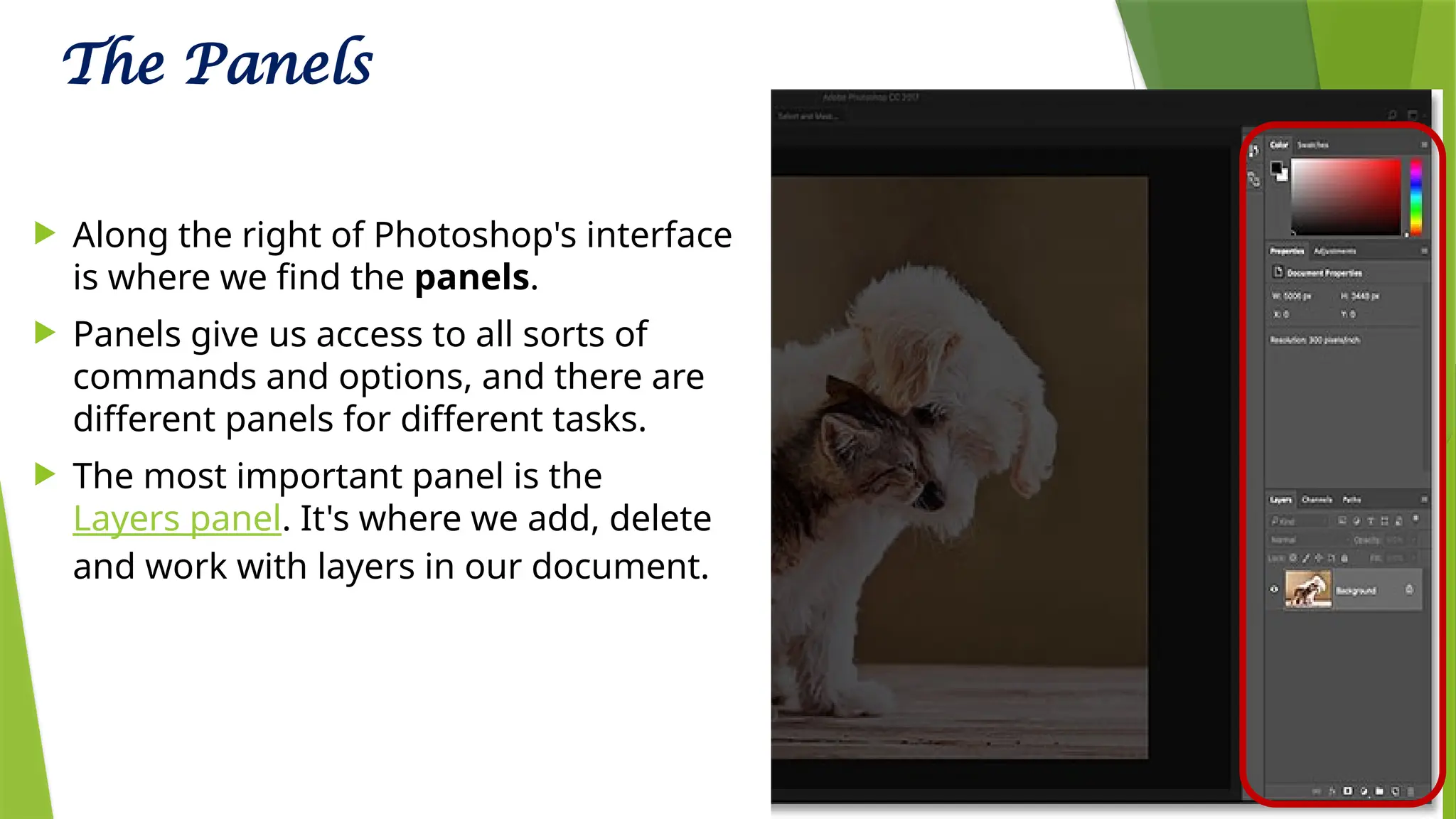 PHOTOSHOP learning for all students.pptx