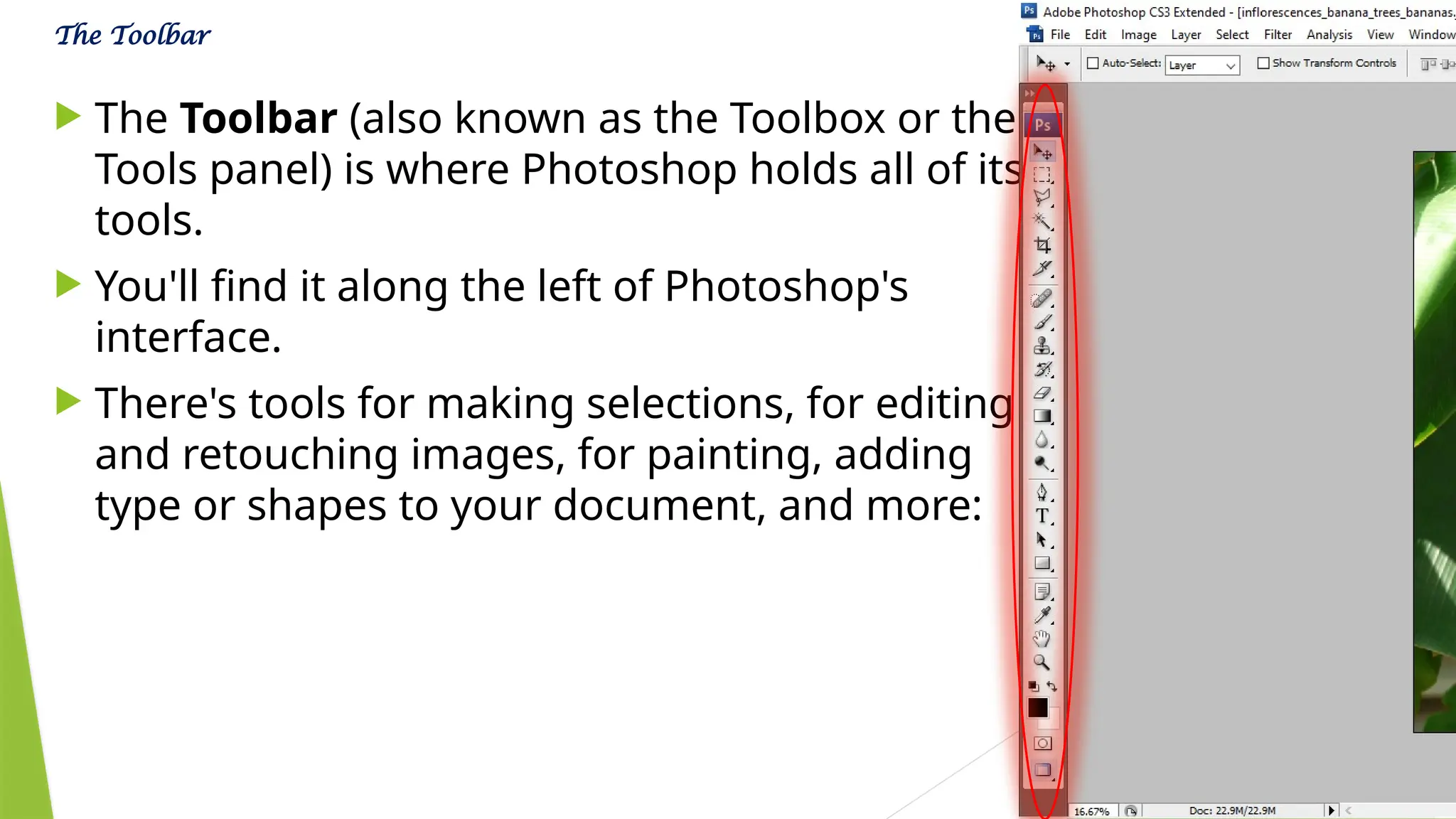 PHOTOSHOP learning for all students.pptx