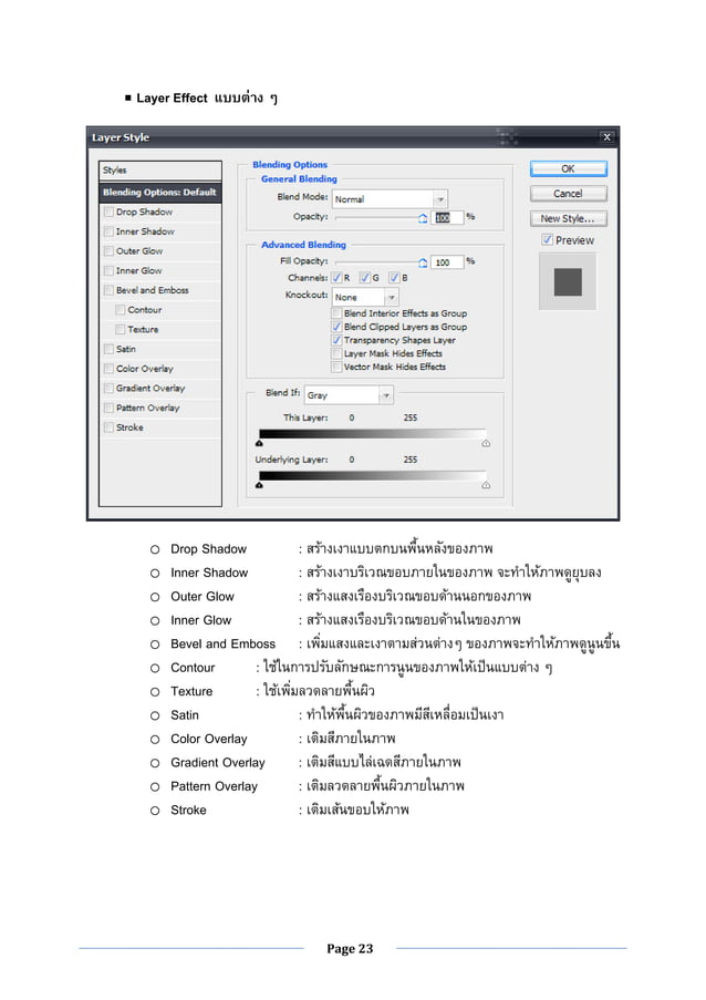 คู่มือ Photoshop cs3 | PDF
