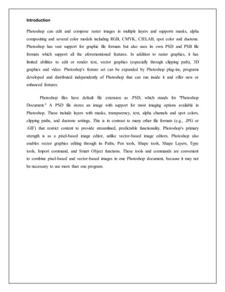 Photoshop report | DOCX