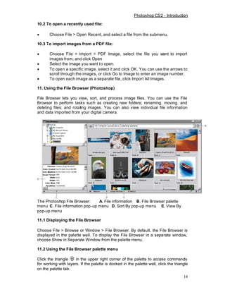 Photoshop - Module 1 | PDF