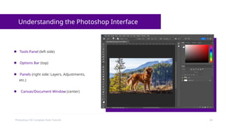 Photoshop CS6 Tools Tutorial for everyone.pptx