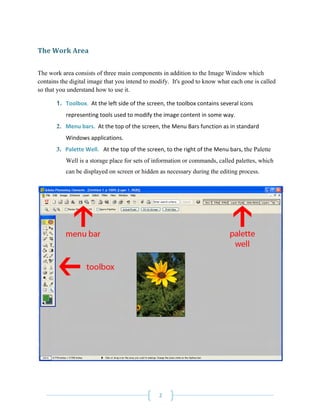 Photoshop Elements | PDF