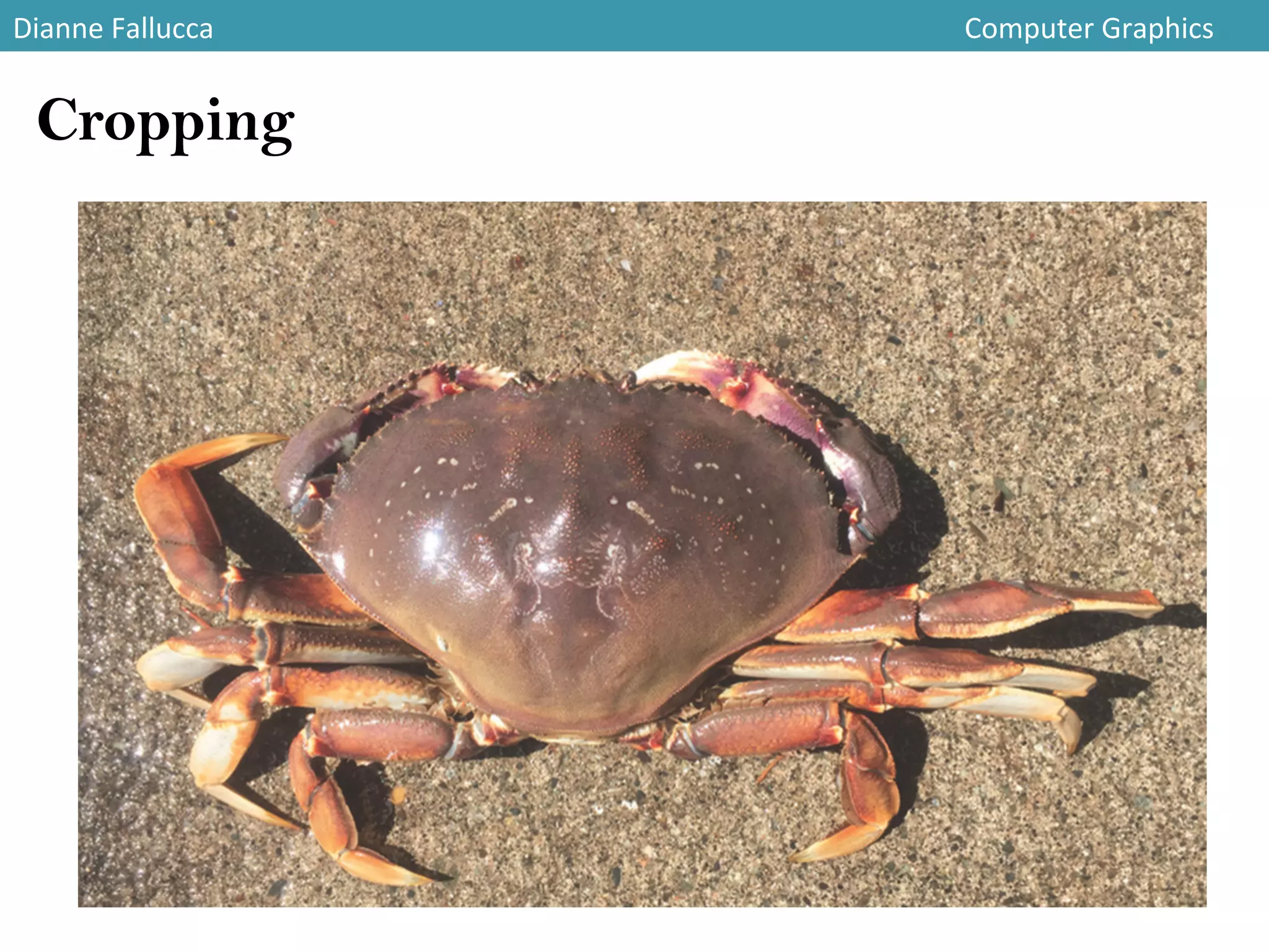 Photoshop Exercises | PPT