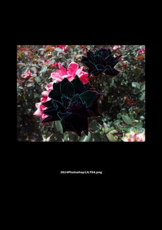 Photoshop Class Exercise 1 | PDF