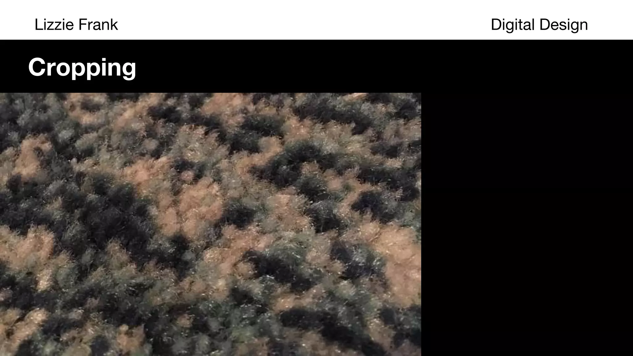 Lizzie Frank Photoshop Connotative Image | PPT