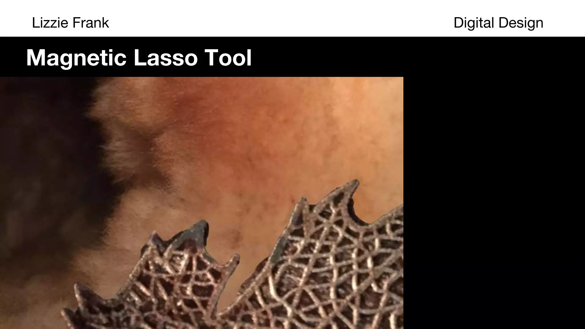 Lizzie Frank Photoshop Connotative Image | PPT