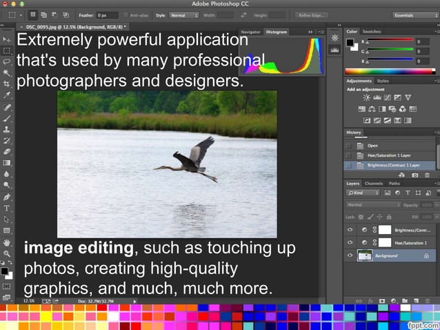 Photoshop introduction and basics in graphics | PPT