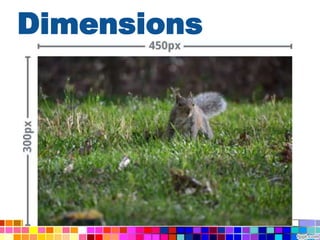 Photoshop introduction and basics in graphics | PPT