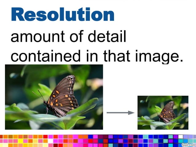 Photoshop introduction and basics in graphics | PPT