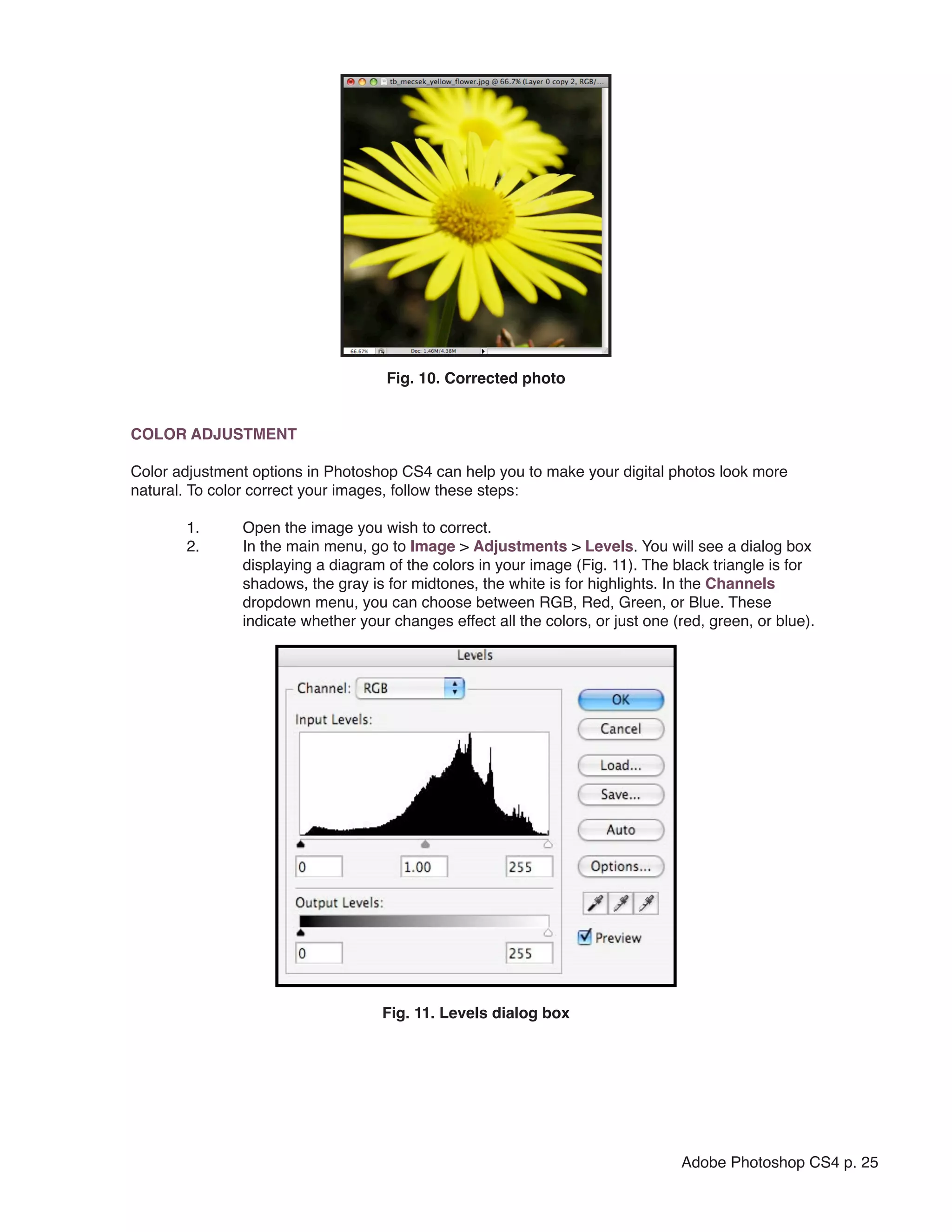 Photoshop tutorial | PDF