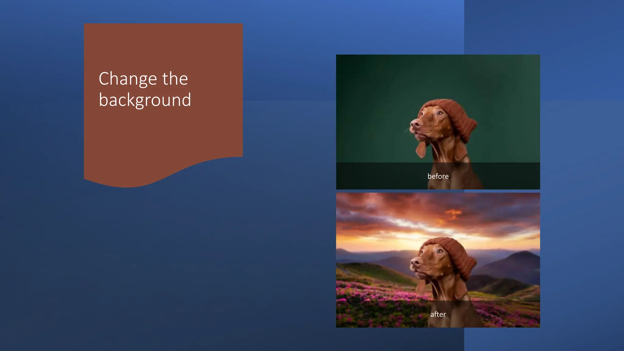 Photoshop tutorials portfolio examples.pptx