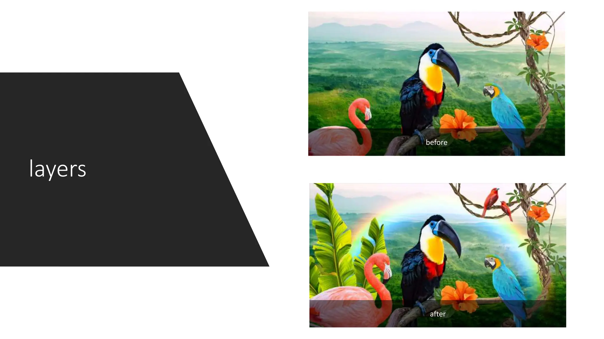 Photoshop tutorials portfolio examples.pptx