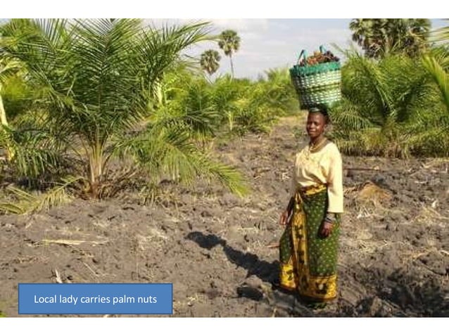 Short Ministry Presentation | PPT