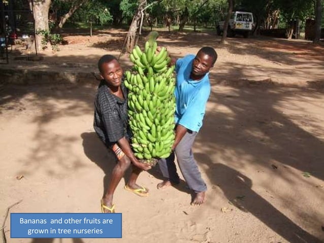 Short Ministry Presentation | PPT