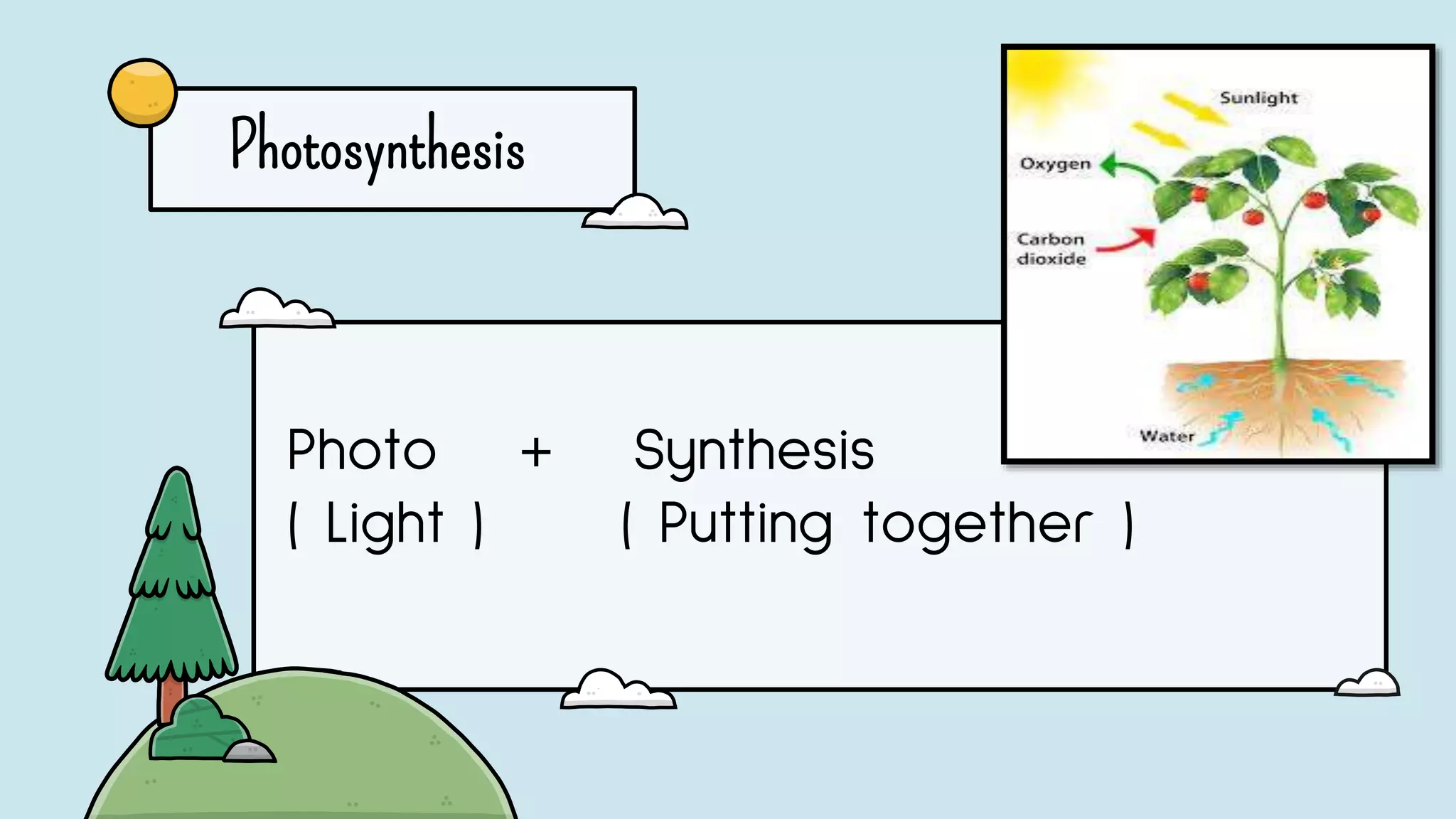 Photosnthesis for grade 4.pptx