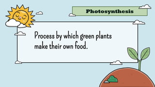 Photosnthesis for grade 4.pptx