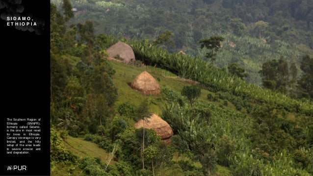 SIDAMO, Ethiopia