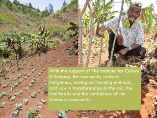 The Kamburu Story in pictures - ecological farming in Africa | PPT