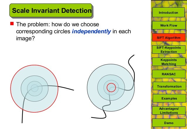Feature Matching Using Sift Algorithm