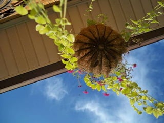 Photos With Kodak M1033 | PPT