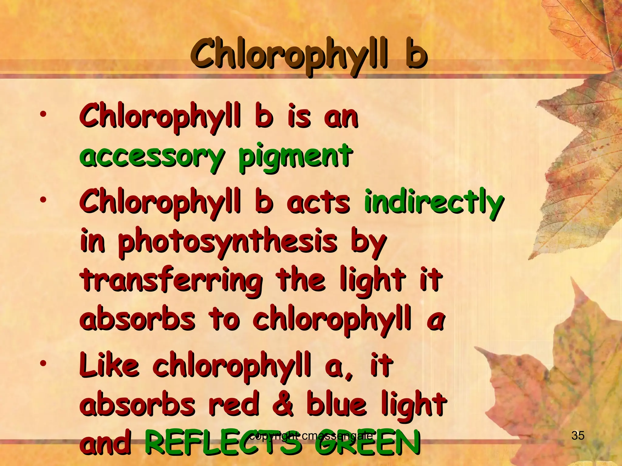 Photosy | PPT
