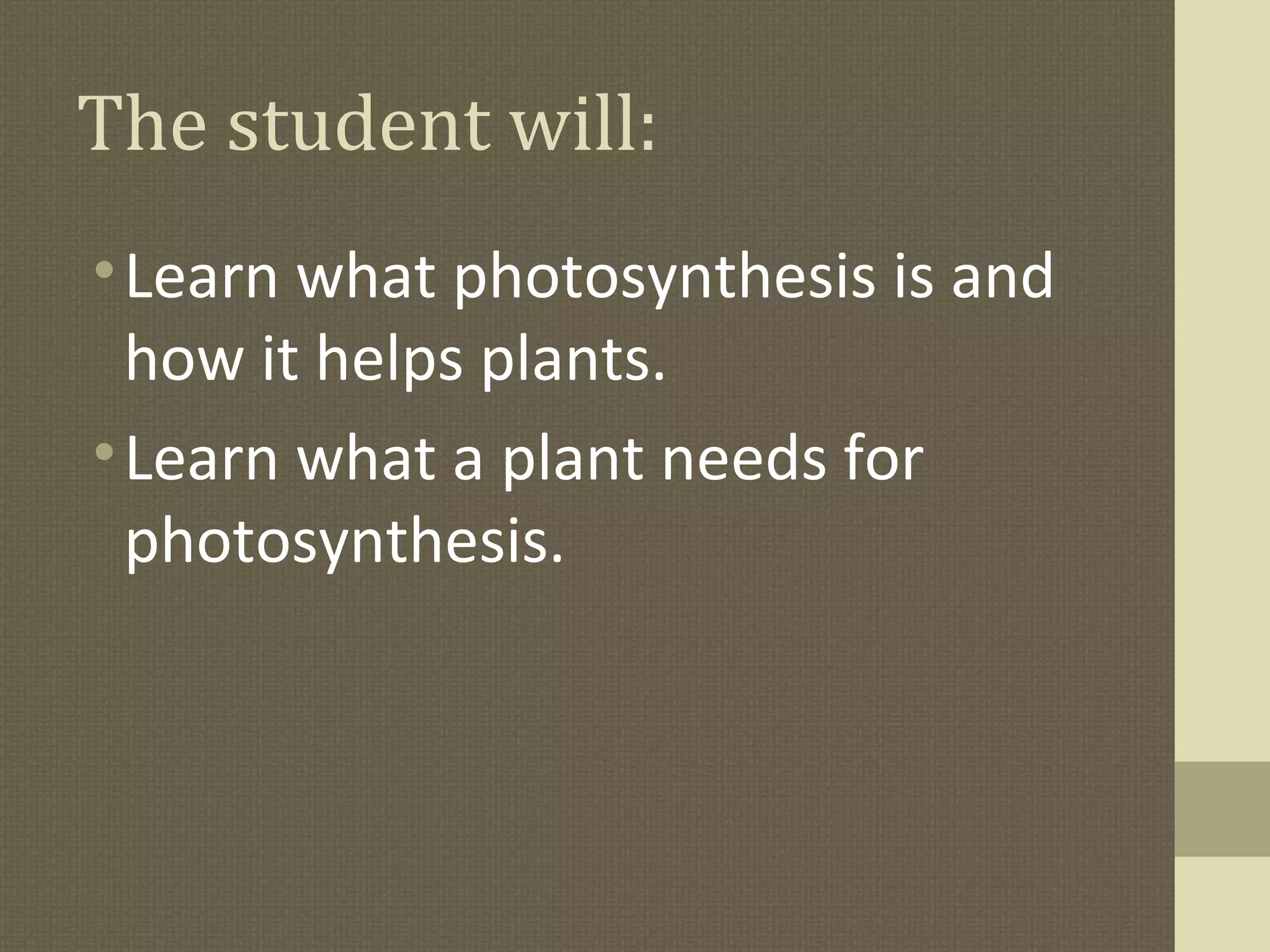 Photosyn | PPT