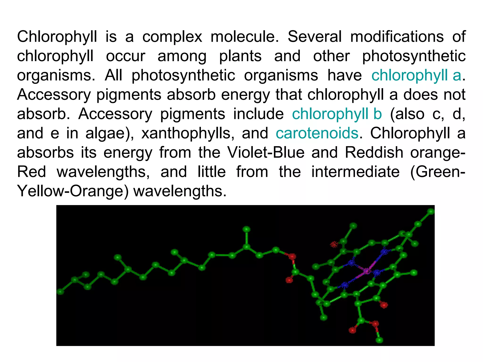 Photosynthesis | PPT