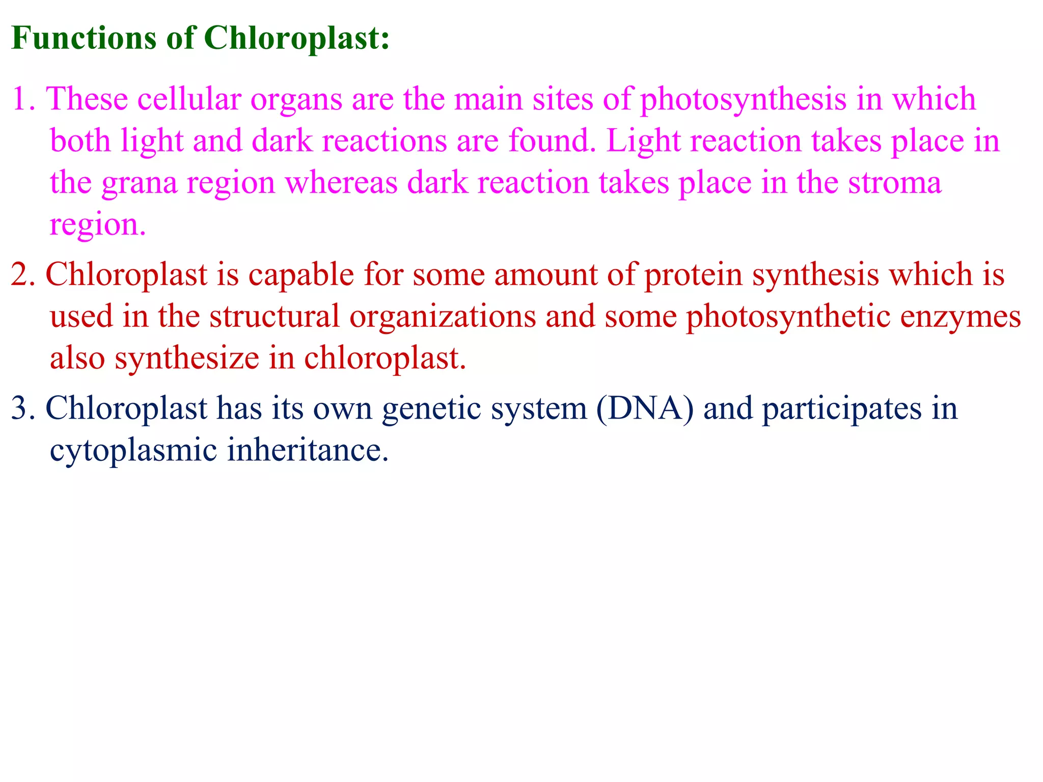 Photosynthesis | PPT