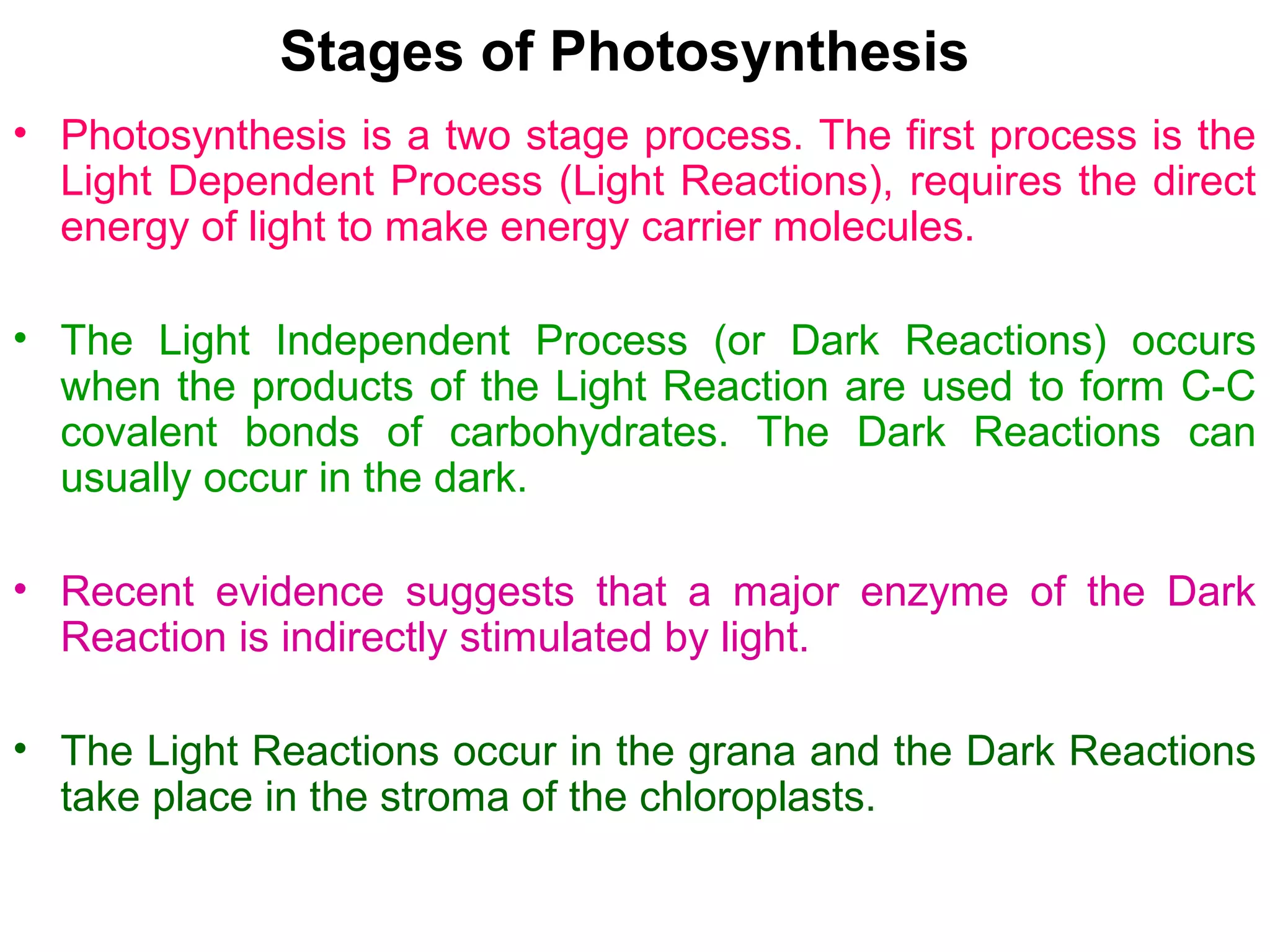 Photosynthesis | PPT