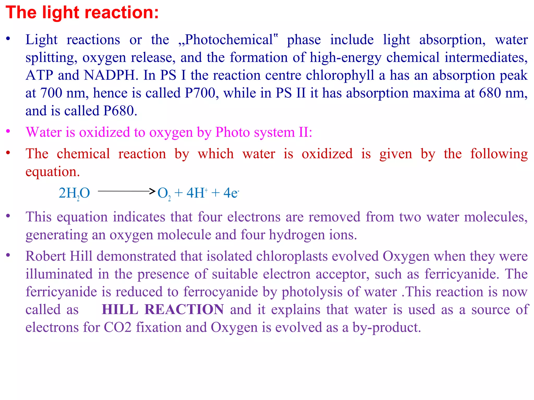 Photosynthesis | PPT