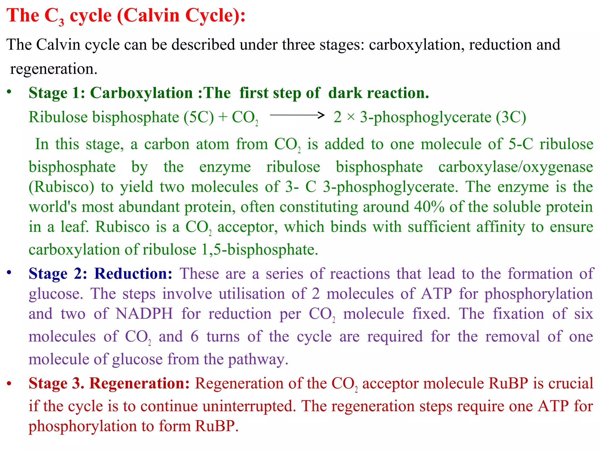 Photosynthesis | PPT