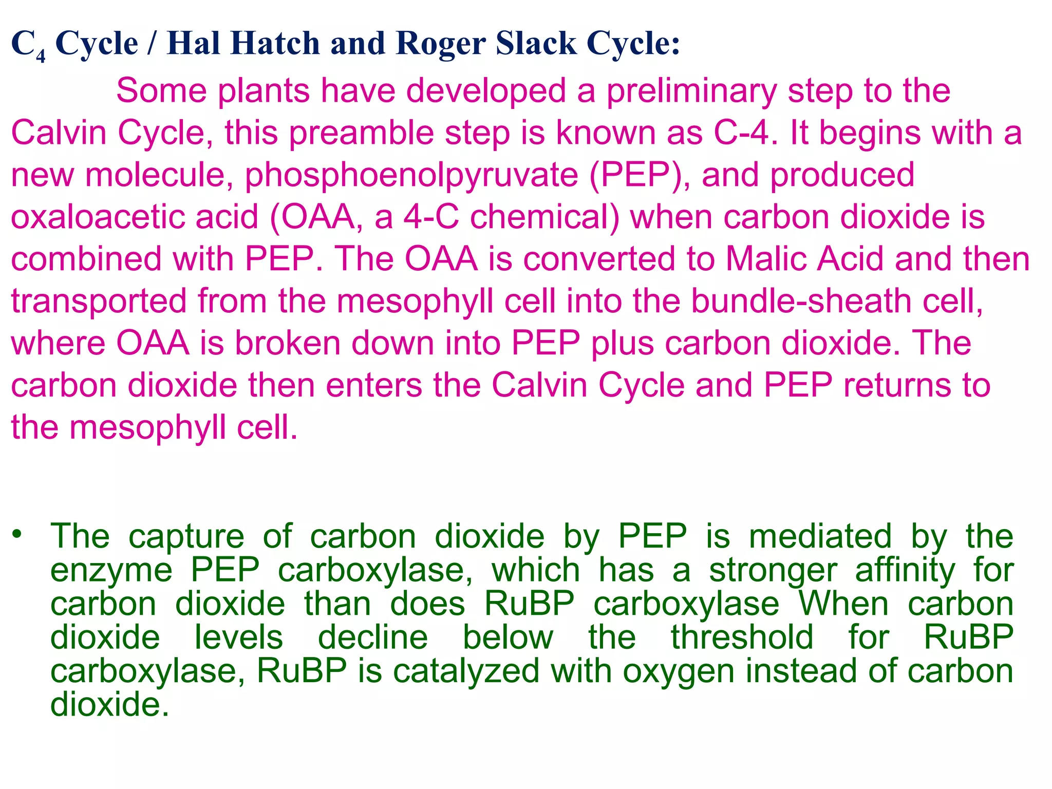 Photosynthesis | PPT