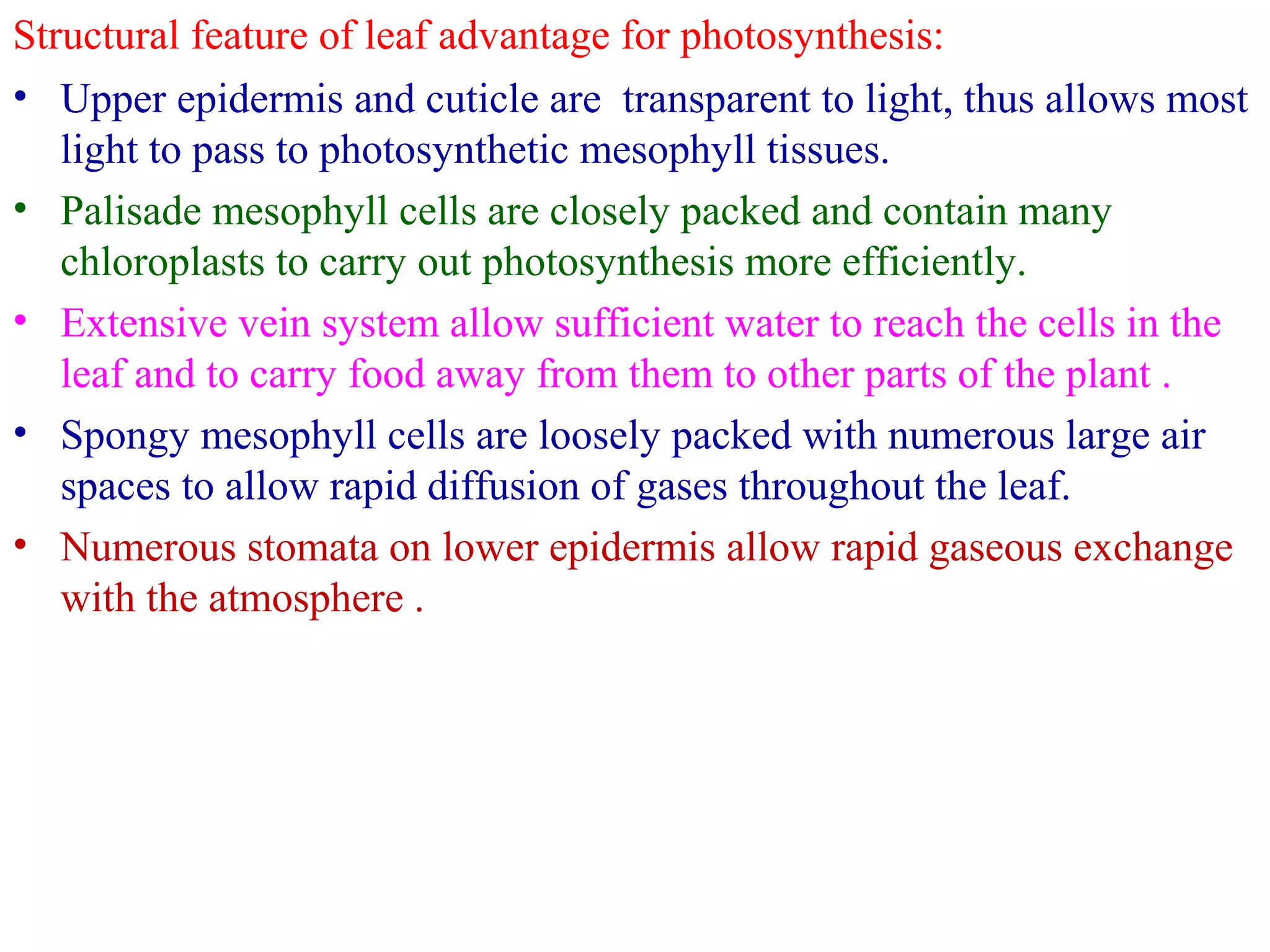 Photosynthesis | PPT