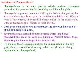 Photosynthesis | PPT