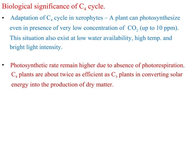 Photosynthesis | PPT